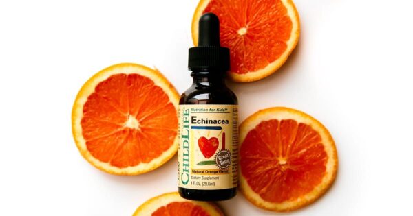 CHILDLIFE ECHINACEA KAPI ZA IMUNITET 29,6ML – Ljekarna Ljubic – BiH ...